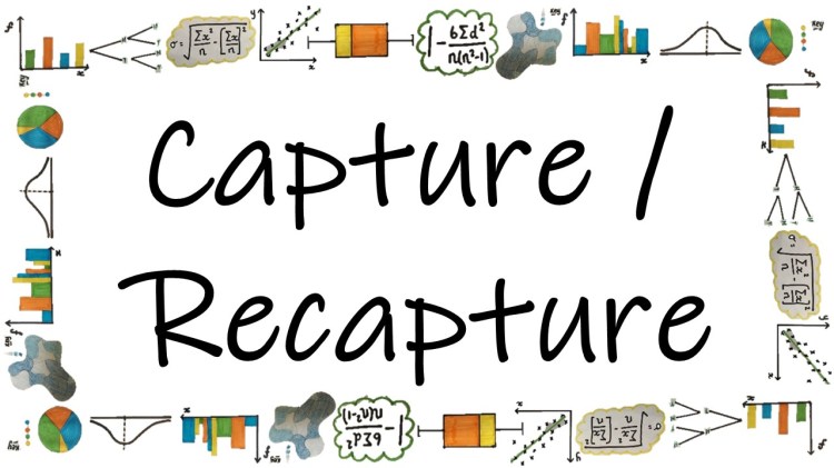 capture-recapture – Mrs Hodgetts' Statistics